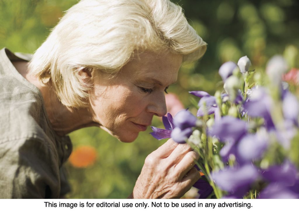 Seniors’ senses of smell and taste change with age - Herald-Standard